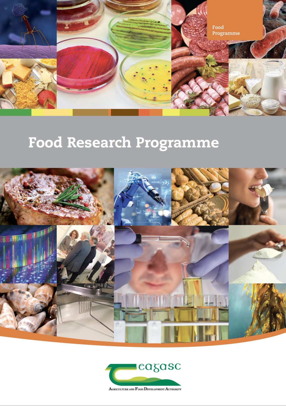 Teagasc Food Programme Brochure 2021 – Dairy Research Ireland